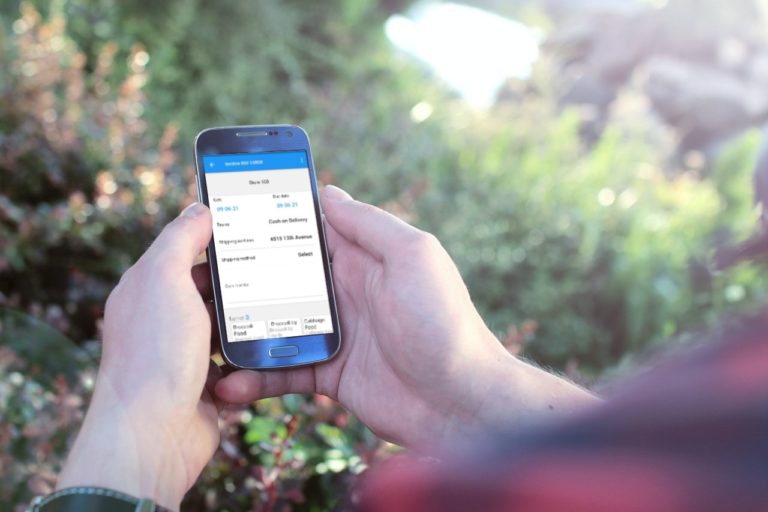 Using The Hunter Vs. Farmer Sales Model To Build Your Team | InSitu Sales